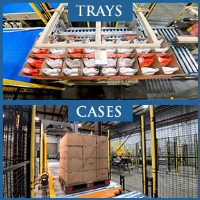 Tray vs Case Packaging - Automated End of Line Manufacturer
